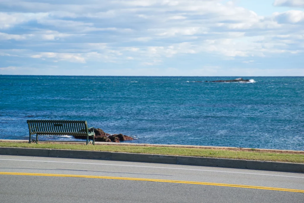 Ocean Drive in Newport: The Picturesque New England Coastline ...